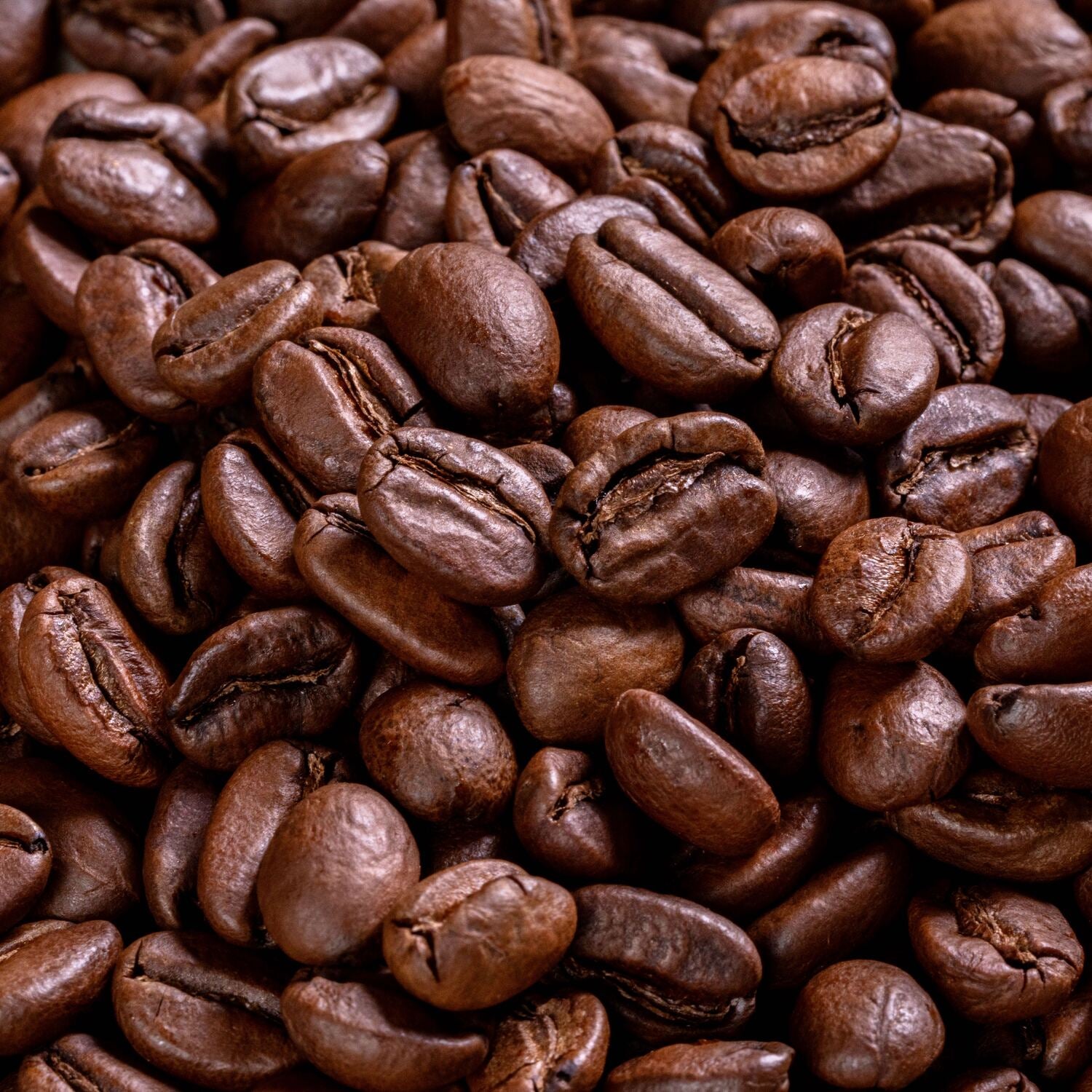 コーヒー – NORTH DISH