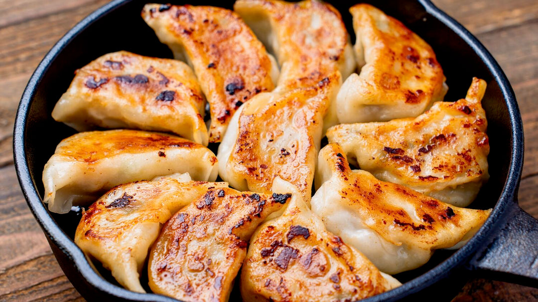 音更ぎょうざの宝永 – NORTH DISH